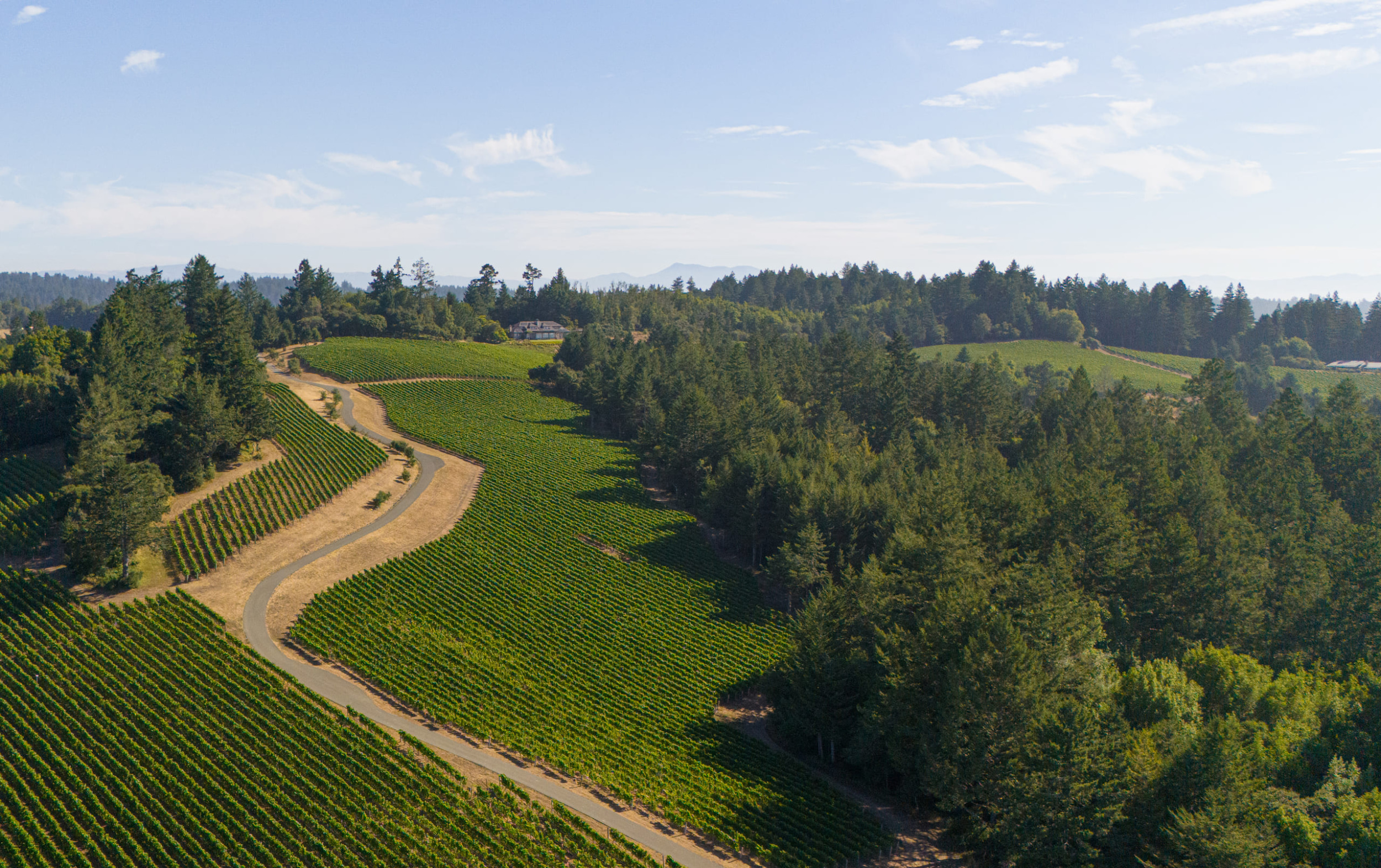 Terroir - Platt Vineyard - The True Sonoma Coast